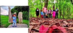 Mawphlang Sacred Forest: A must-visit place in Meghalaya