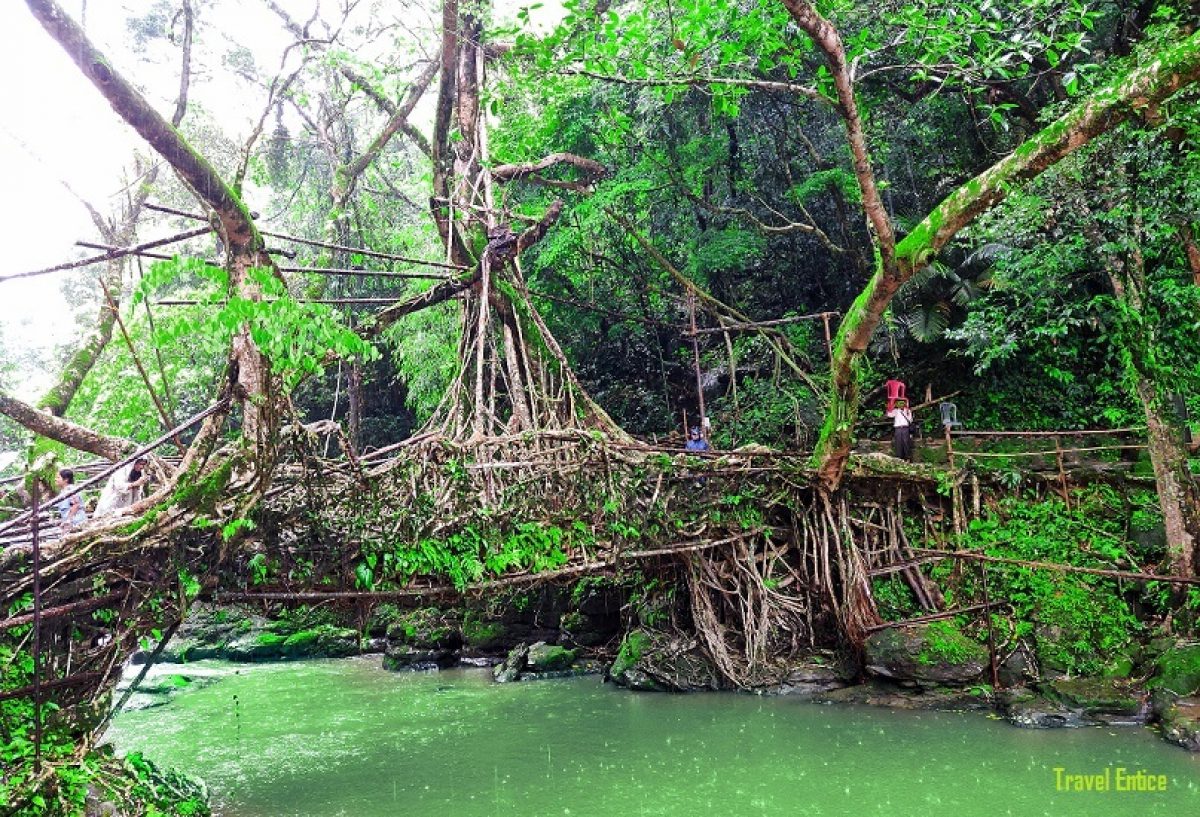 Mawlynnong: The Cleanest Village in Asia | Travel Entice