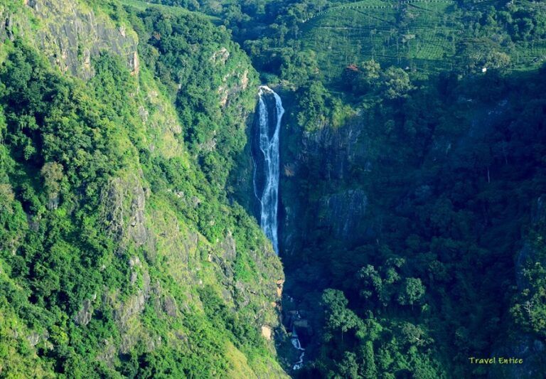 14 Best Places to visit in Coonoor Hill Station |TravelEntc.