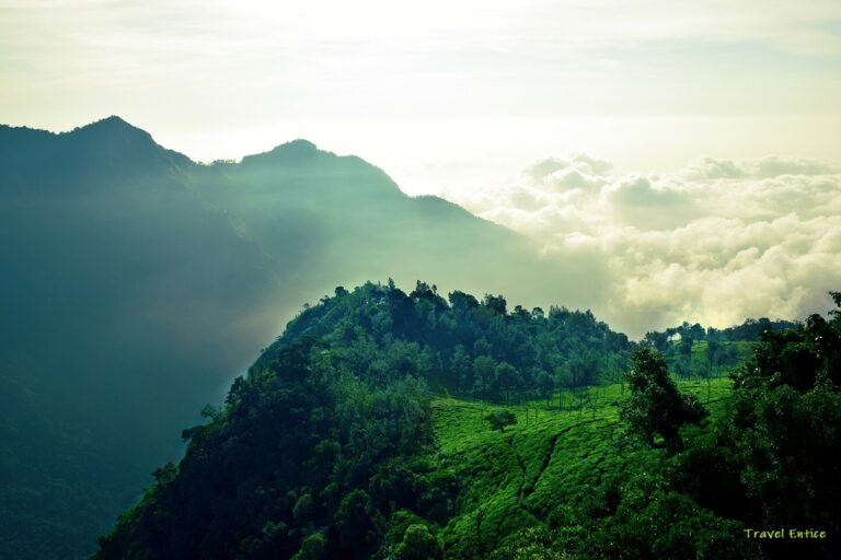 14 Best Places to visit in Coonoor Hill Station |TravelEntc.