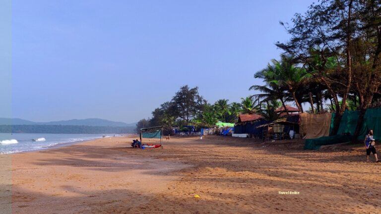 Agonda Beach in Goa: A Complete Travel Guide| Travel Entice