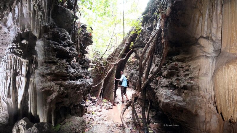 Limestone cave at Baratang Island: An Exciting Day Trip