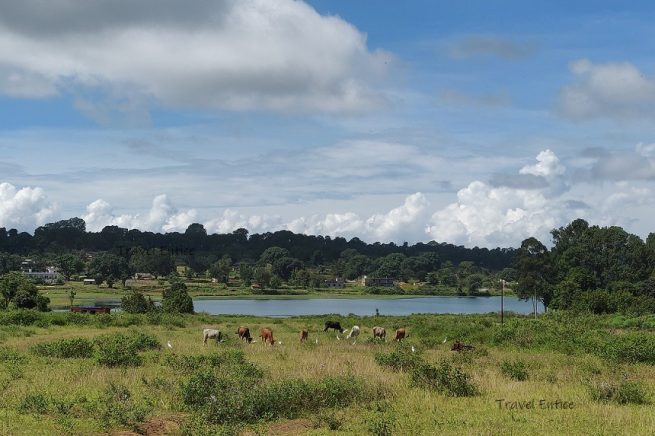 Netarhat : The Queen of Chhotanagpur