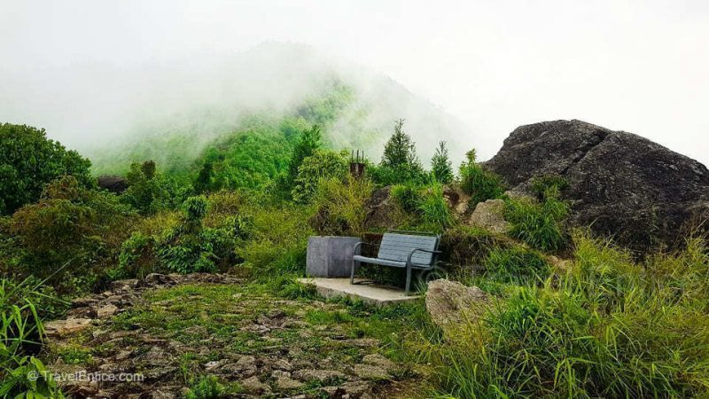 Heaven in Kurseong: An Unseen Hidden Gem Amidst Pine Forest