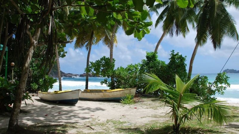 10 Best Resorts in Neil Island (Shaheed Dweep)