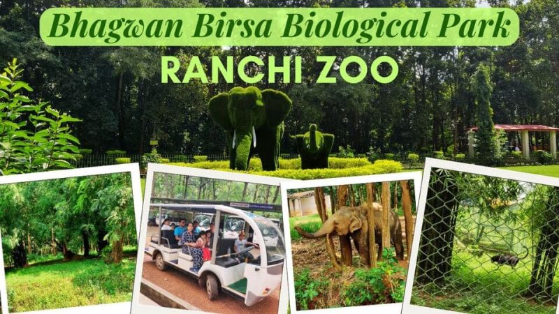 Bhagwan Birsa Biological Park | Travel Entice